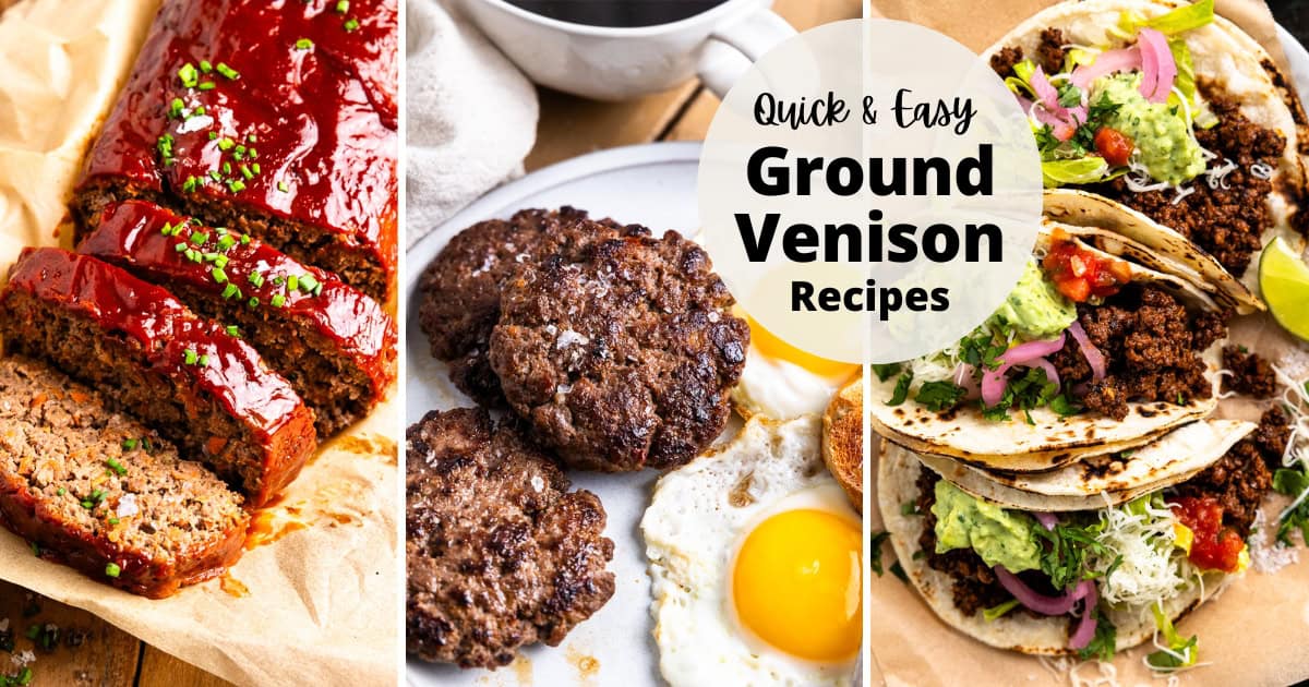 Easy Ground Venison Recipes | How to Cook Ground Venison - Modern ...