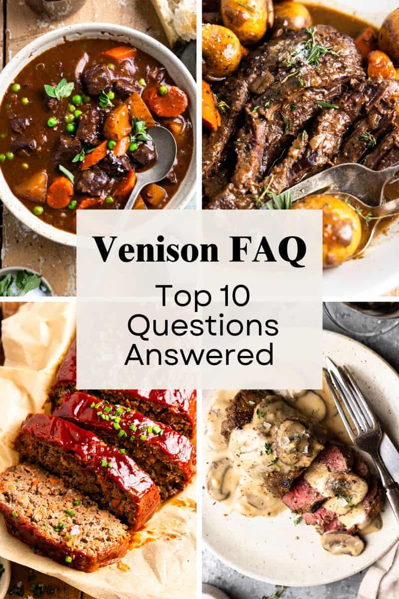 Venison FAQs: 10 Common Deer Meat Questions Answered - Modern Farmhouse ...