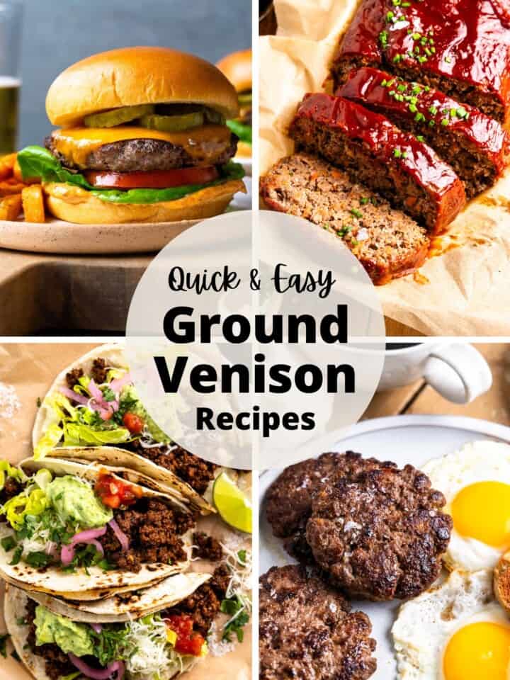 Venison FAQs: 10 Common Deer Meat Questions Answered - Modern Farmhouse ...