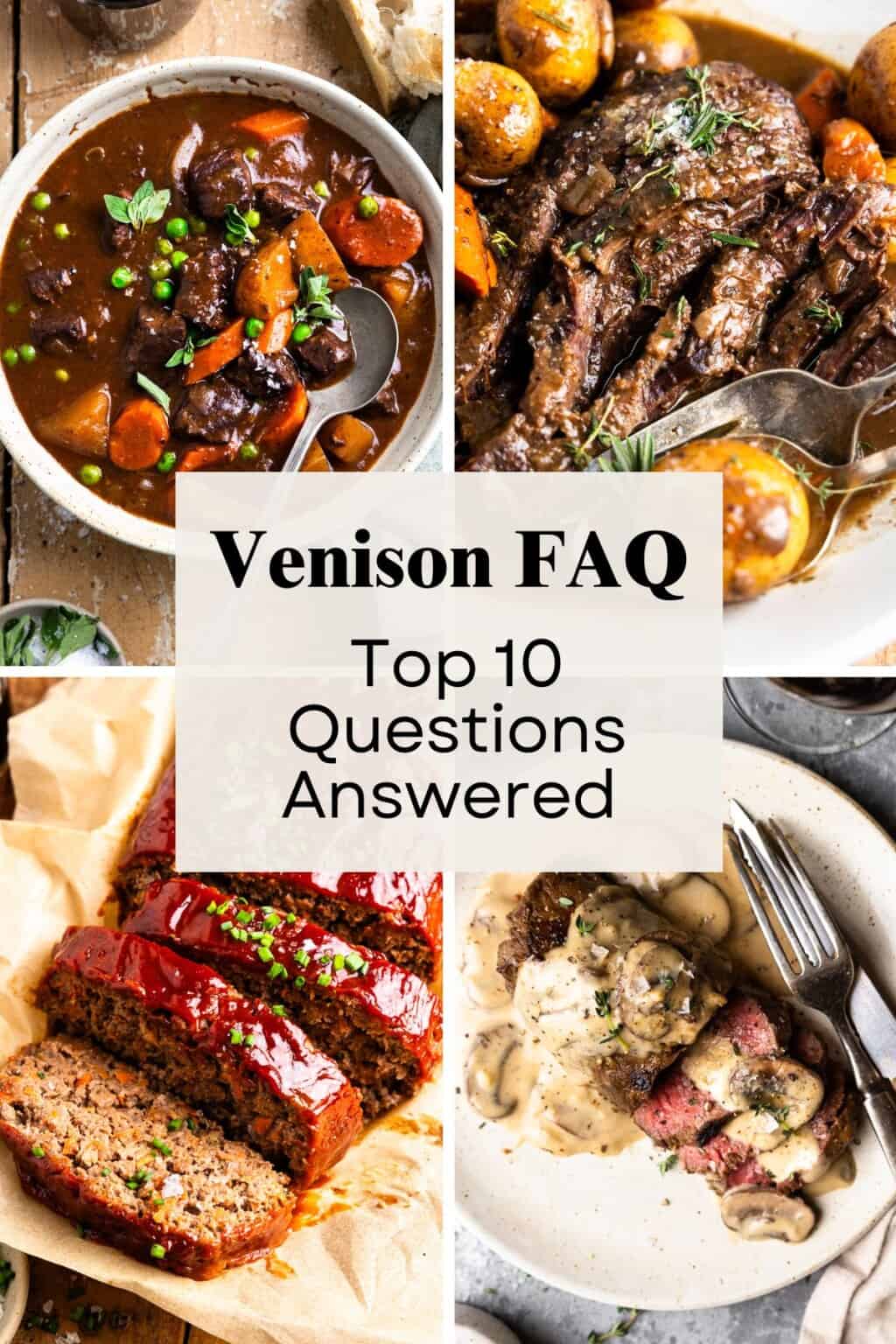 Venison FAQs: 10 Common Deer Meat Questions Answered - Modern Farmhouse ...
